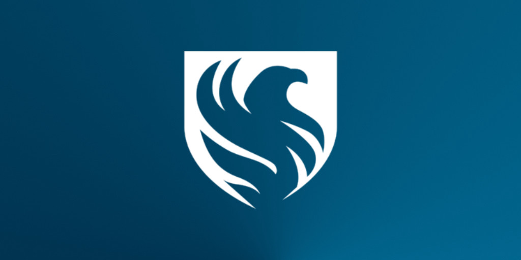 Falcons - Counter-Strike (CS2). Próximos partidos, plantilla ...